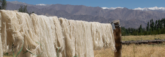 Contact – Looms of Ladakh